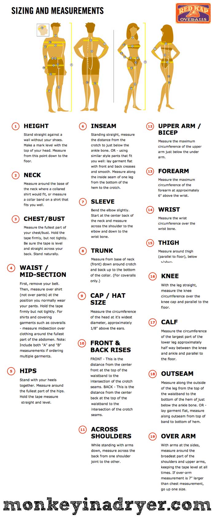 Forearm Size Chart - Ponasa